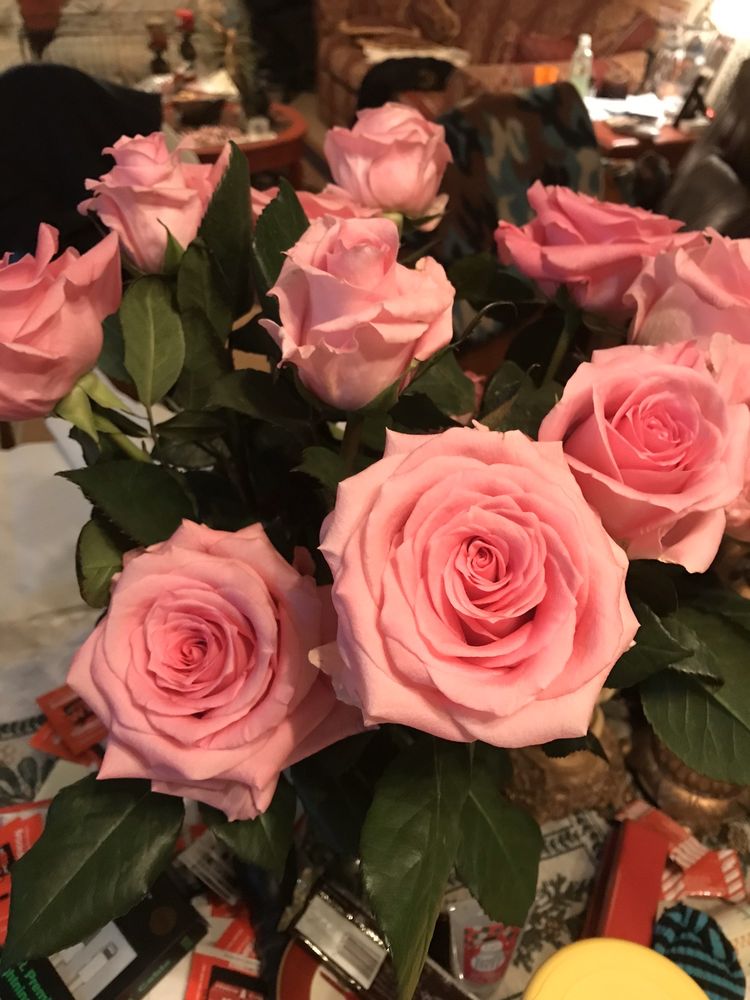 HOLIDAY INN EXPRESS & SUITES PLANO EAST - RICHARDSON - Updated ...