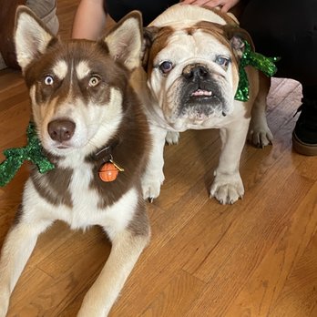 HYDRODOG BERT - Updated January 2025 - 34 Photos & 15 Reviews - Redmond ...