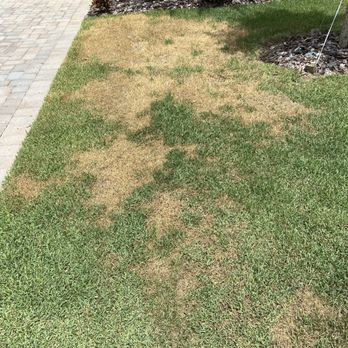 ARTISTREE LANDSCAPE MAINTENANCE & DESIGN - Updated August 2024 - 35 ...