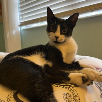 FLORIDA HUMANE SOCIETY - Updated January 2026 - 47 Photos & 57 Reviews ...