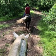 RED BUFFALO RANCH - 64 Photos & 47 Reviews - 1106 Anders Rd ...