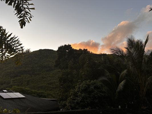 PALOLO VALLEY - Updated December 2025 - 72 Photos & 12 Reviews ...