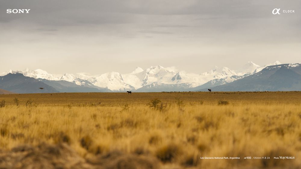 EL SOL CONSTRUCTION & LANDSCAPING - Updated November 2025 - Colorado ...