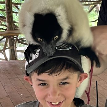 ZOOLOGICAL WILDLIFE FOUNDATION - 848 Photos & 236 Reviews - 16225 SW ...