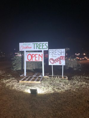 MISTLETOE TREE FARM - 724 S Lindsay Rd, Gilbert, Arizona - Christmas ...