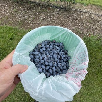 EVANS ORCHARD & CIDER MILL - Updated October 2025 - 345 Photos & 91 ...