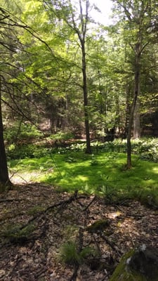 DEPEW PARK & POOL - Updated September 2025 - 20 Photos - 363 Union Ave ...