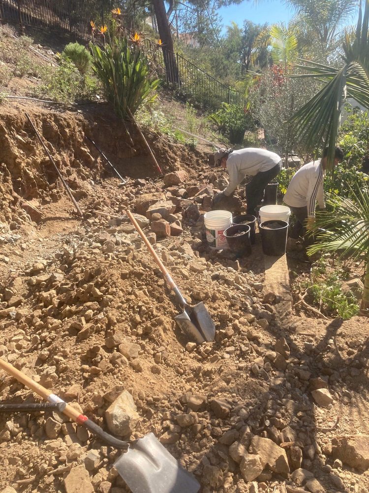 JOSH MENDEZ LANDSCAPING - Updated June 2024 - 11 Photos - San Diego ...