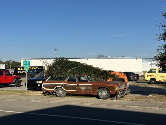 THE LUCKY RABBIT - 46 Photos & 18 Reviews - 217 Mobile St, Hattiesburg ...