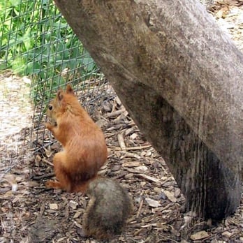 RED RIVER ZOO - Updated December 2024 - 174 Photos & 36 Reviews - 4255 ...