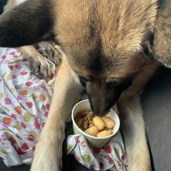 THE ABIDE RIDE - Updated December 2025 - 17 Photos & 16 Reviews - 26431 ...