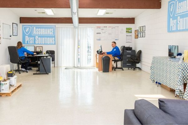 ASSURANCE PEST SOLUTIONS - Updated May 2026 - 129 Photos & 92 Reviews ...