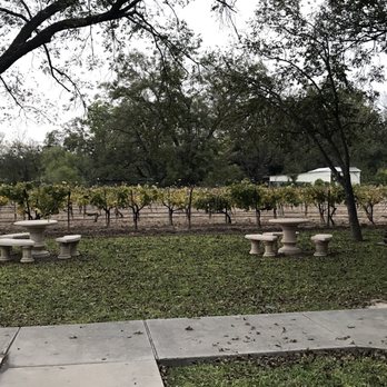 VAL VERDE WINERY - Updated July 2025 - 65 Photos & 30 Reviews - 100 ...