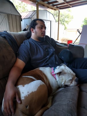 FRESNO BULLY RESCUE - Updated August 2025 - 18 Photos & 22 Reviews ...