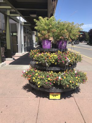 FRED MEYER - Updated December 2024 - 114 Photos & 107 Reviews - 17667 ...