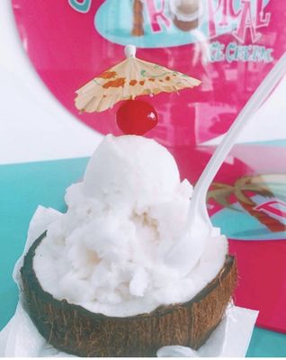 JR TROPICAL ICE CREAM - Updated October 2024 - 42 Photos & 28 Reviews ...