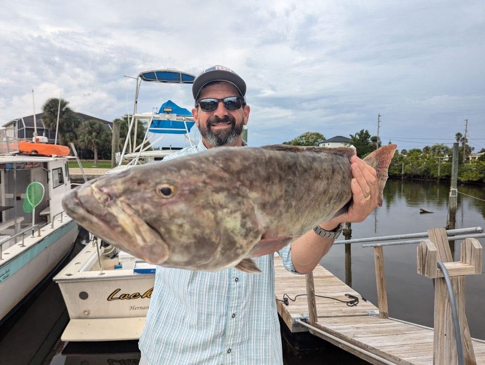 LUCKY D FISHING CHARTERS - Updated May 2025 - 11 Photos - 4317 Calienta St, Hernando Beach ...