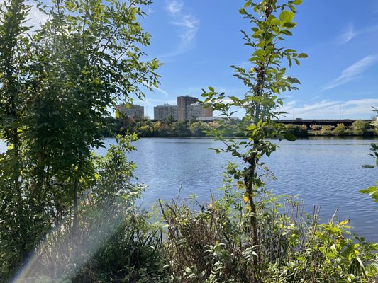 MAGAZINE BEACH - Updated October 2025 - 11 Photos - 719 Memorial Dr ...