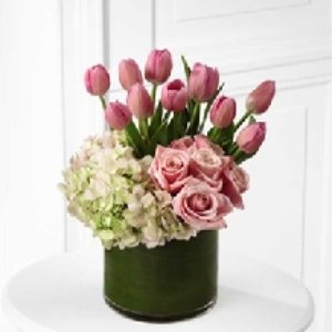 ACADEMY FLORIST - Updated December 2025 - 10 Photos - 925 Corydon ...