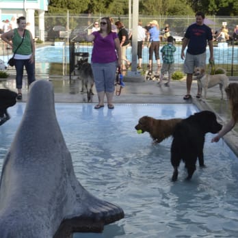 NATATORIUM POOL AND HYDROTUBE - Updated December 2025 - 17 Photos ...