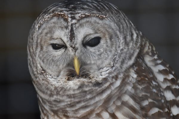 TENAFLY NATURE CENTER - Updated April 2025 - 116 Photos & 26 Reviews ...