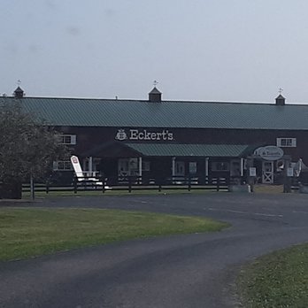 ECKERT’S ORCHARD - Updated October 2024 - 131 Photos & 56 Reviews ...