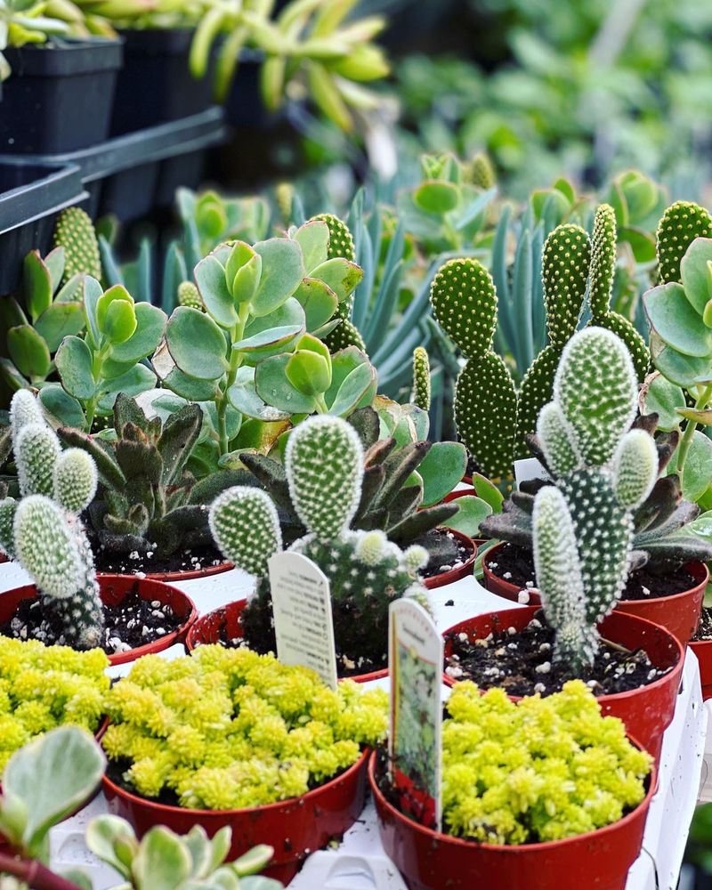 SPRING MEADOWS FARM - Updated November 2025 - 139 Photos - 15513 ...