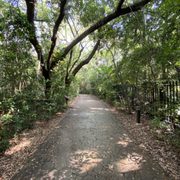 THE BARNACLE HISTORIC STATE PARK - 386 Photos & 66 Reviews - 3485 Main Hwy, Miami, FL - Yelp