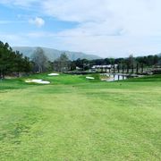 GLEN IVY GOLF CLUB - 184 Photos & 160 Reviews - 24400 Trilogy Pkwy ...