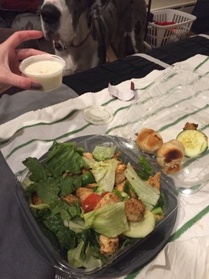 BLUE BELL PIZZA - Updated August 2024 - 21 Photos & 80 Reviews - 34 W ...