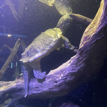 OKLAHOMA AQUARIUM - Updated December 2024 - 491 Photos & 193 Reviews ...