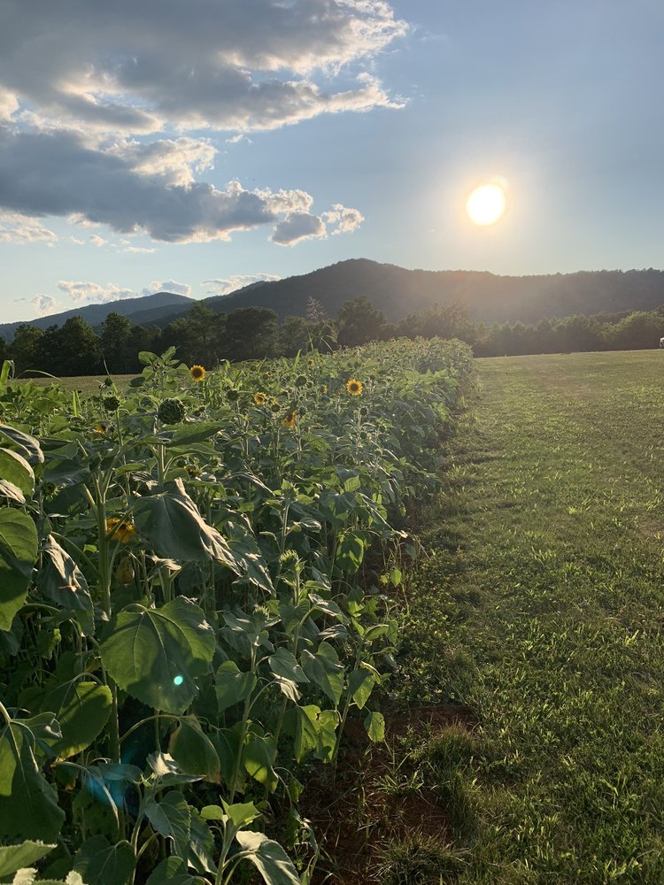 WOOD RIDGE FARM BREWERY - 94 Photos & 53 Reviews - 165 Old Ridge Rd ...