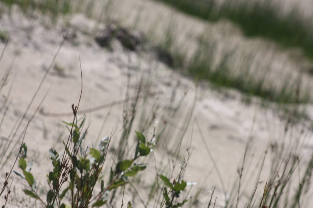 SAUBLE BEACH - Updated May 2026 - 188 Photos & 16 Reviews - Sauble ...