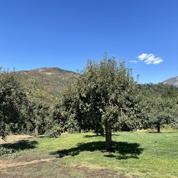 RILEY’S FARM - Updated December 2024 - 910 Photos & 434 Reviews - 12261 ...