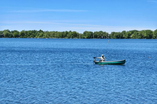 LAKE WILCOX PARK - Updated June 2024 - 110 Photos & 22 Reviews - 1100 ...