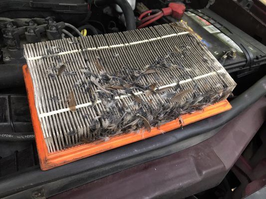 PACIFICO FORD IN PHILADELPHIA - Updated December 2025 - 19 Photos & 131 ...