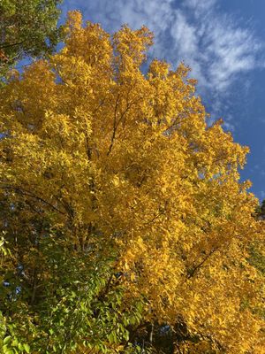 NEVERS PARK - Updated July 2025 - 27 Photos & 10 Reviews - 150 Nevers ...