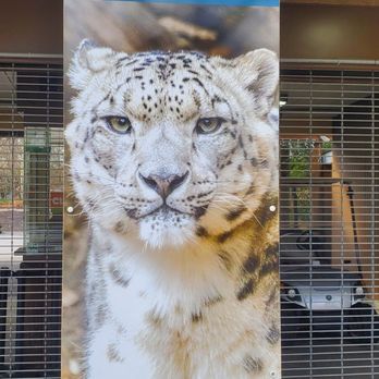 ROGER WILLIAMS PARK ZOO - Updated October 2025 - 1377 Photos & 313 ...