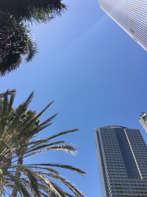 CONSULATE GENERAL OF JAPAN IN LOS ANGELES - Updated January 2026 - 50 ...