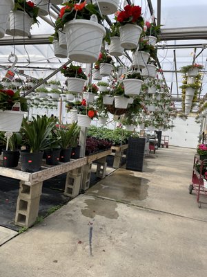 HALLOCK’S U-PICK FARM & GREENHOUSE - Updated April 2025 - 44 Photos ...