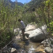 TRAIL CANYON FALLS - 409 Photos & 94 Reviews - Hiking - Trail Canyon Rd ...