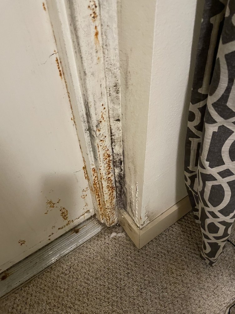 MAVEN PROPERTIES NW - 15 Photos & 22 Reviews - 800 5th Ave, Seattle ...