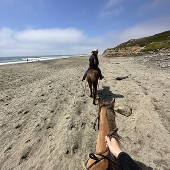 OCEAN VIEW STABLES - Updated April 2025 - 81 Photos & 61 Reviews - 2152 ...