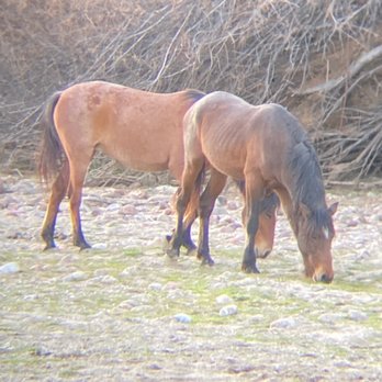 COON BLUFF - Updated December 2025 - 49 Photos & 13 Reviews - Coon ...