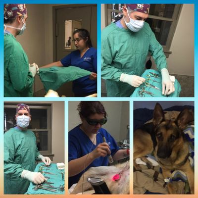 BLUE CROSS VETERINARY HOSPITAL - Updated December 2025 - 181 Photos ...