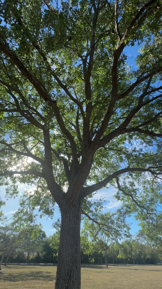 RICHARD D PETRILLO PARK - Updated August 2025 - 16 Photos - 10050 NW ...