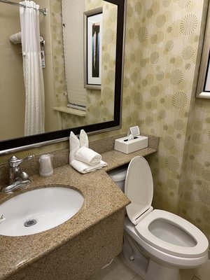 COMFORT INN DOWNTOWN DC/CONVENTION CENTER - Updated December 2025 - 90 ...