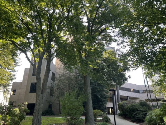 THE CONNECTICUT HOSPICE - Updated December 2025 - 70 Photos & 20 ...