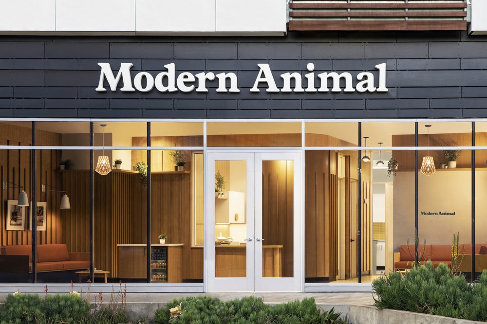 MODERN ANIMAL - Updated December 2025 - 48 Photos & 107 Reviews - 12775 ...