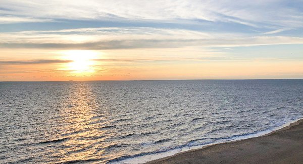 MAYAIMI SKATING TOURS - Updated April 2025 - 10 Photos - 907 Washington ...